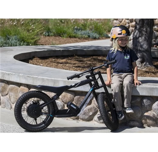 STACYC 16HDrive: Built for Learning Designed – Balance Bike